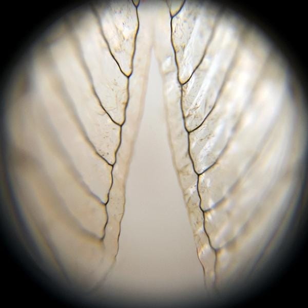 Interview With Greg Sand - Photoshop Tutorials