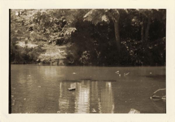 Interview With Greg Sand | Photoshop Tutorials