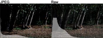 Raw vs JPEG - Photoshop Tutorials