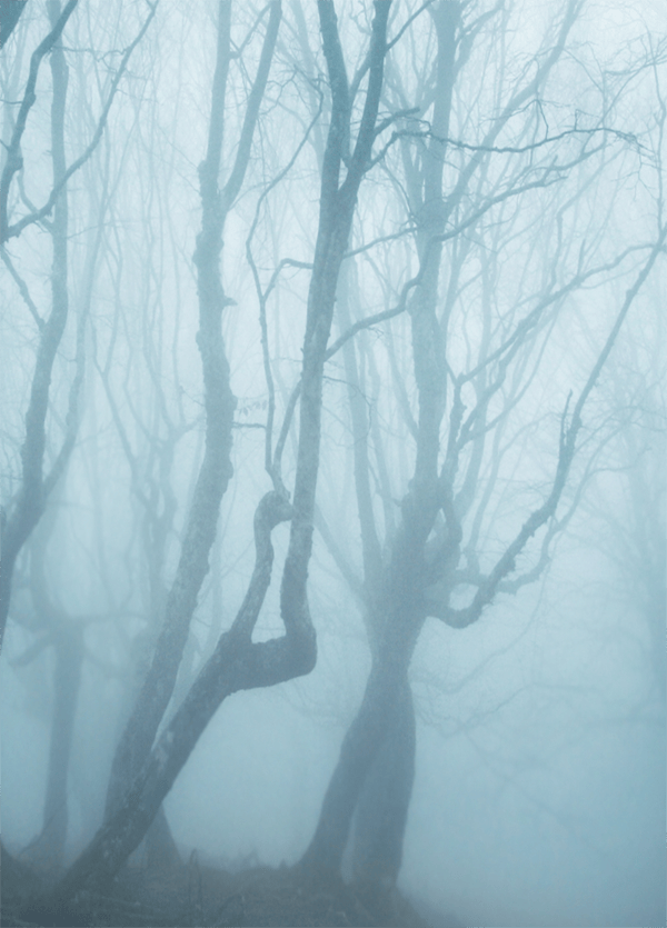 How to Create an Emotional Soft-Tone Photo Manipulation - Photoshop ...