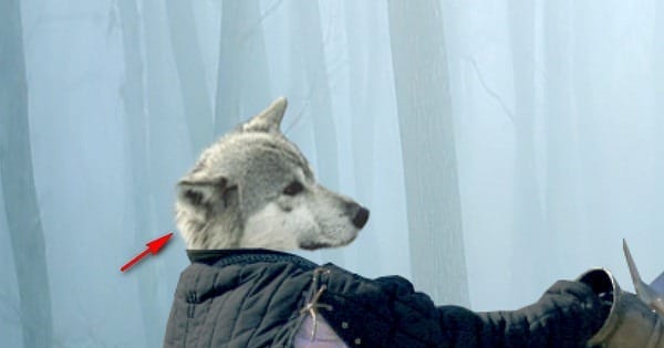 Create a Werewolf Warrior Wielding a Flaming Sword in Photoshop ...