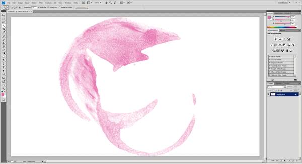 Changing Backgrounds in Photoshop Using Generative AI Tools - Photoshop ...