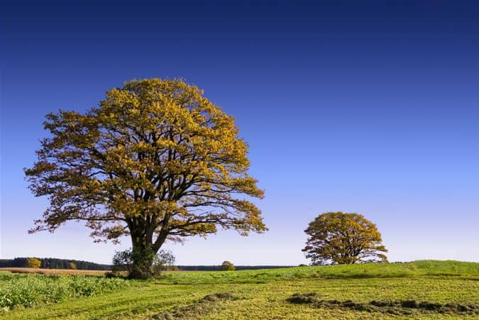 Quick Tip: Erase Backgrounds Quickly With The Background Eraser Tool ...