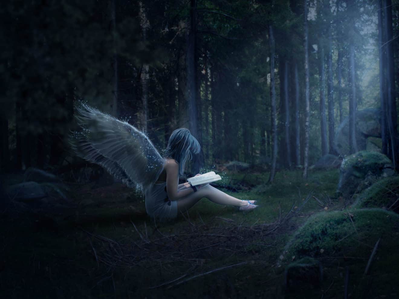 Create a Mystical Night Forest Scene with an Angel | Photoshop Tutorials