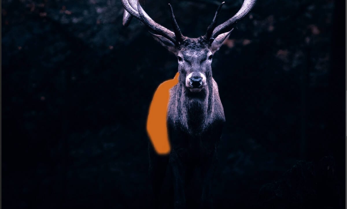 Mysterious Deer in Night Photoshop Manipulation - Photoshop Tutorials