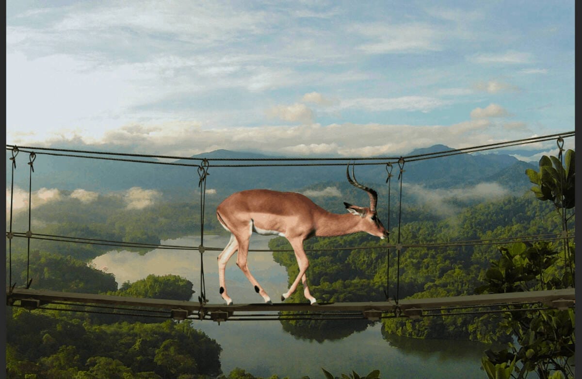 How to Create a Breathtaking Bridge Scene in Photoshop - Photoshop ...