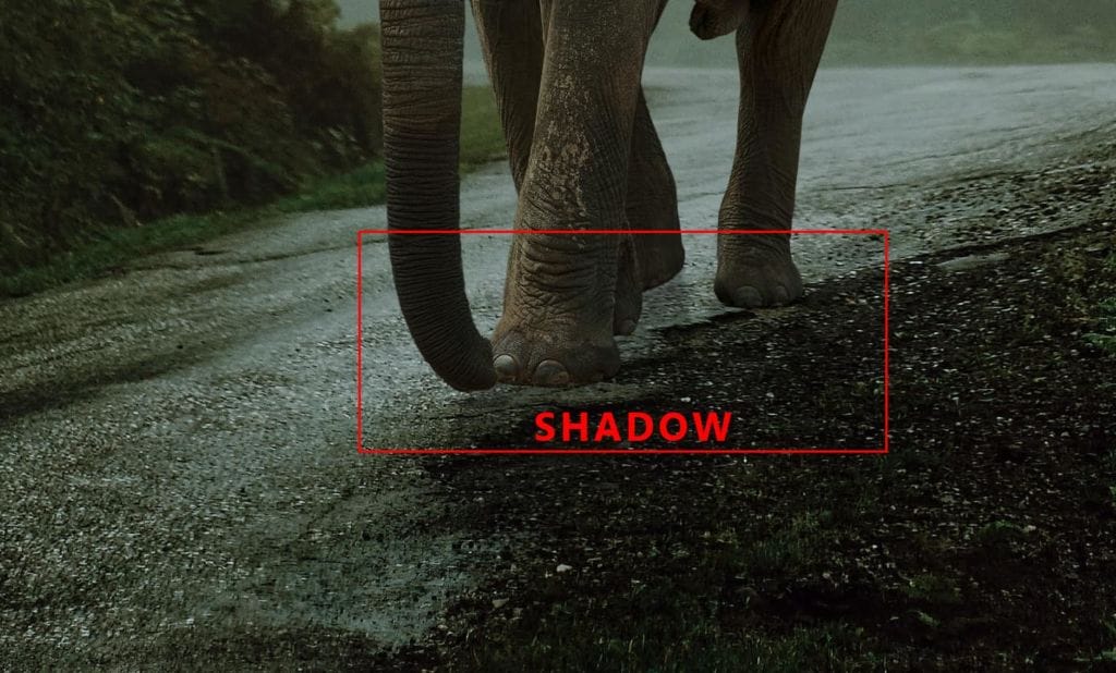 How to Create a Mystical Glowing Elephant in Photoshop - Photoshop ...