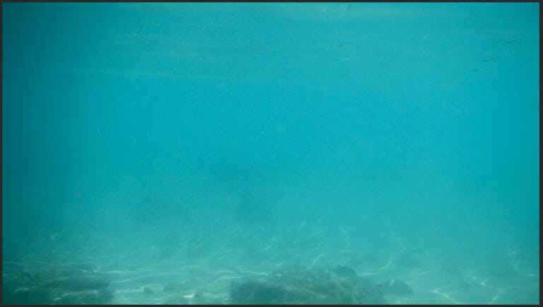 Create a Photomanipulation of a Shark and a Diver | Photoshop Tutorials