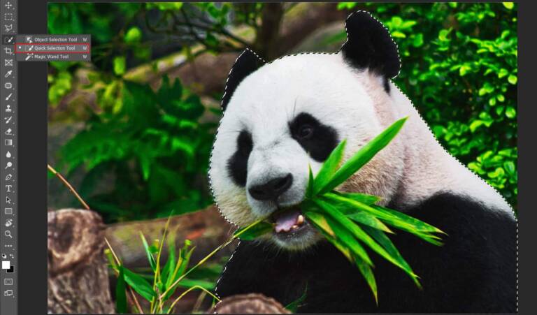Create a Photomanipulation of Panda | Photoshop Tutorials