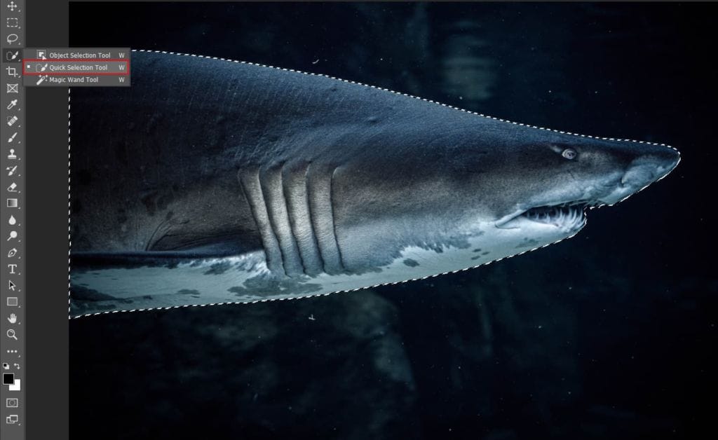 Create a Photomanipulation of a Shark and a Diver | Photoshop Tutorials