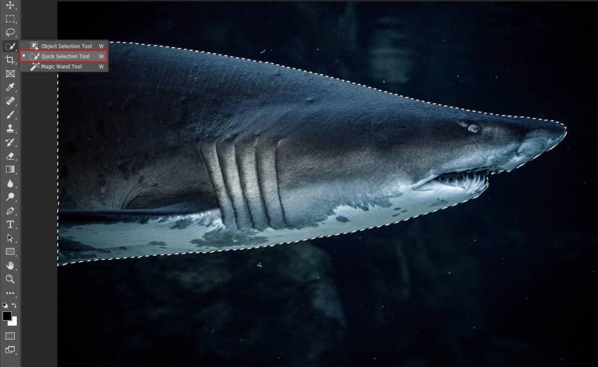 Create a Photomanipulation of a Shark and a Diver - Photoshop Tutorials