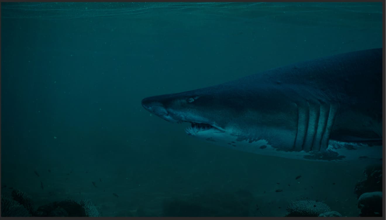 Create a Photomanipulation of a Shark and a Diver | Photoshop Tutorials