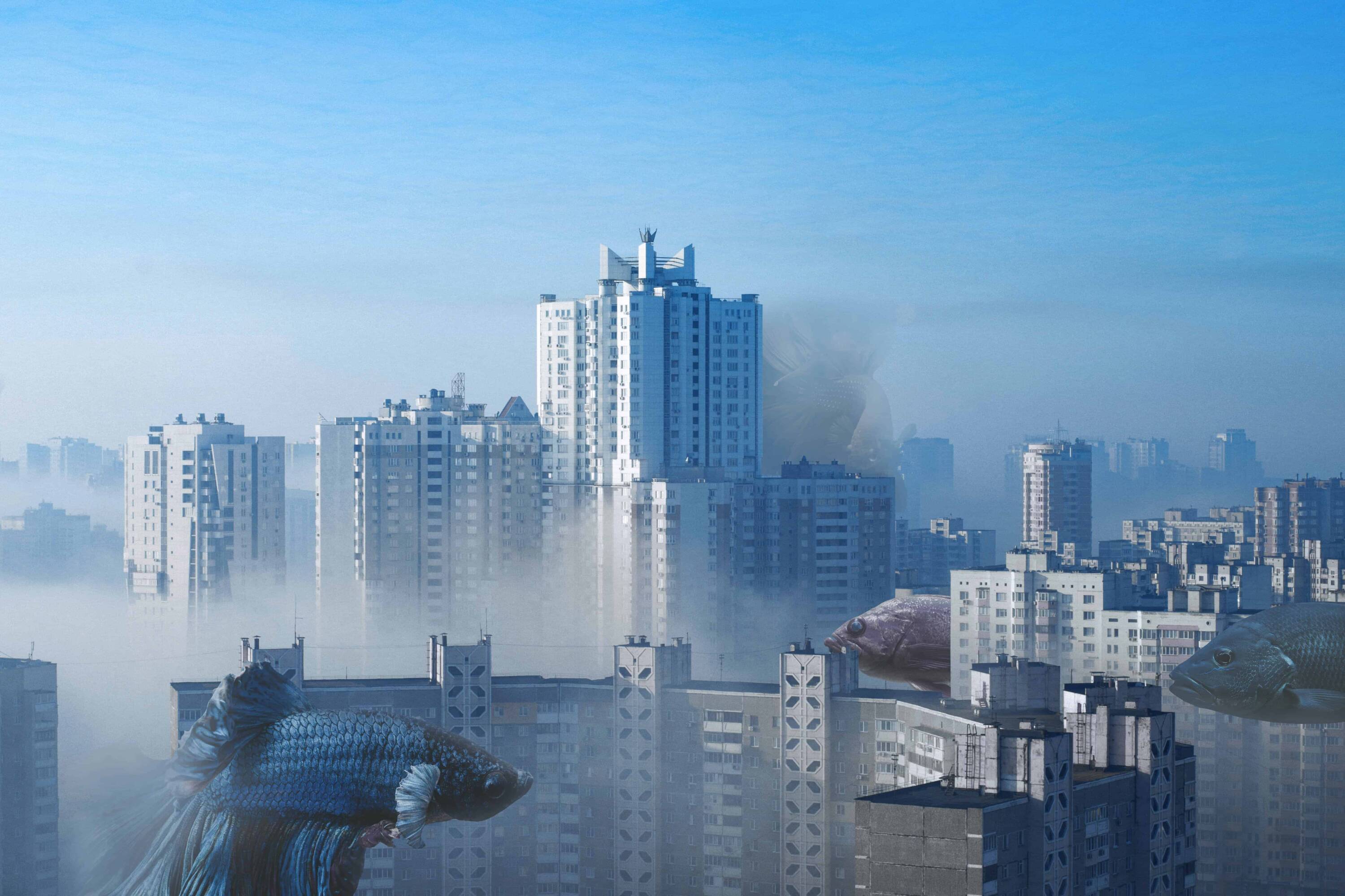 Create a Surreal Fish City Photoshop Tutorial - Photoshop Tutorials