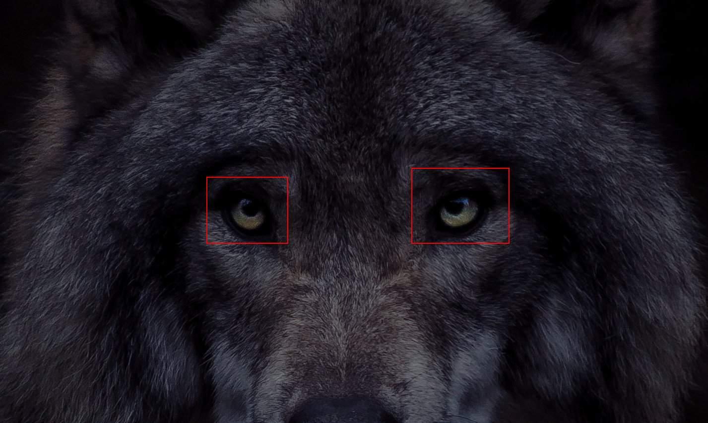 Create a nature scene of Wolf in flowers Photoshop Tutorial | Photoshop ...