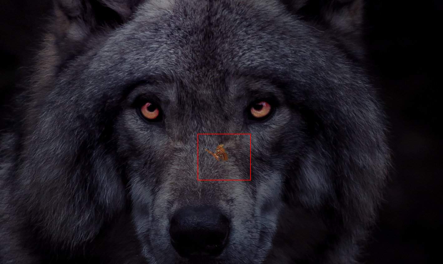 Create a nature scene of Wolf in flowers Photoshop Tutorial | Photoshop ...