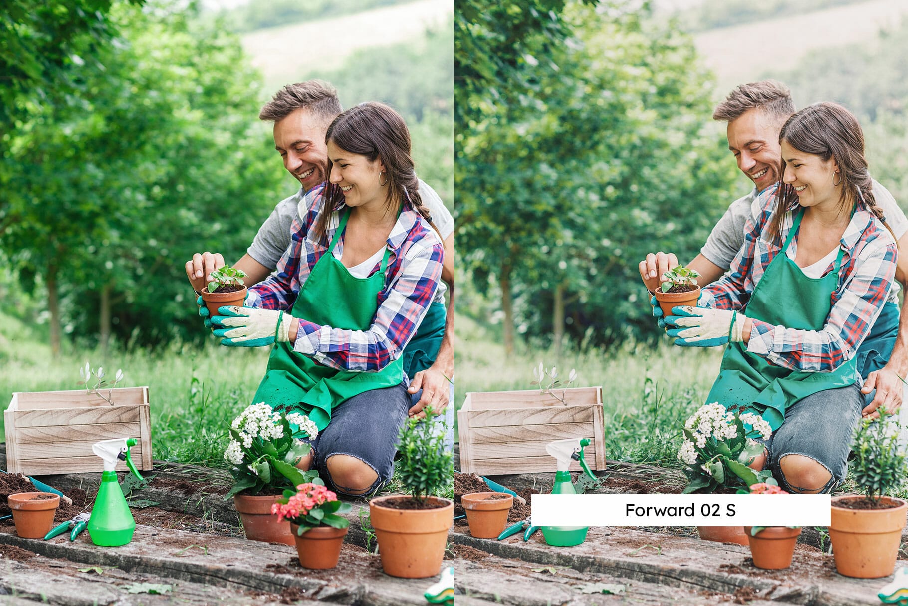 8 Free Spring Bright Lightroom Presets and LUTs - Photoshop Tutorials