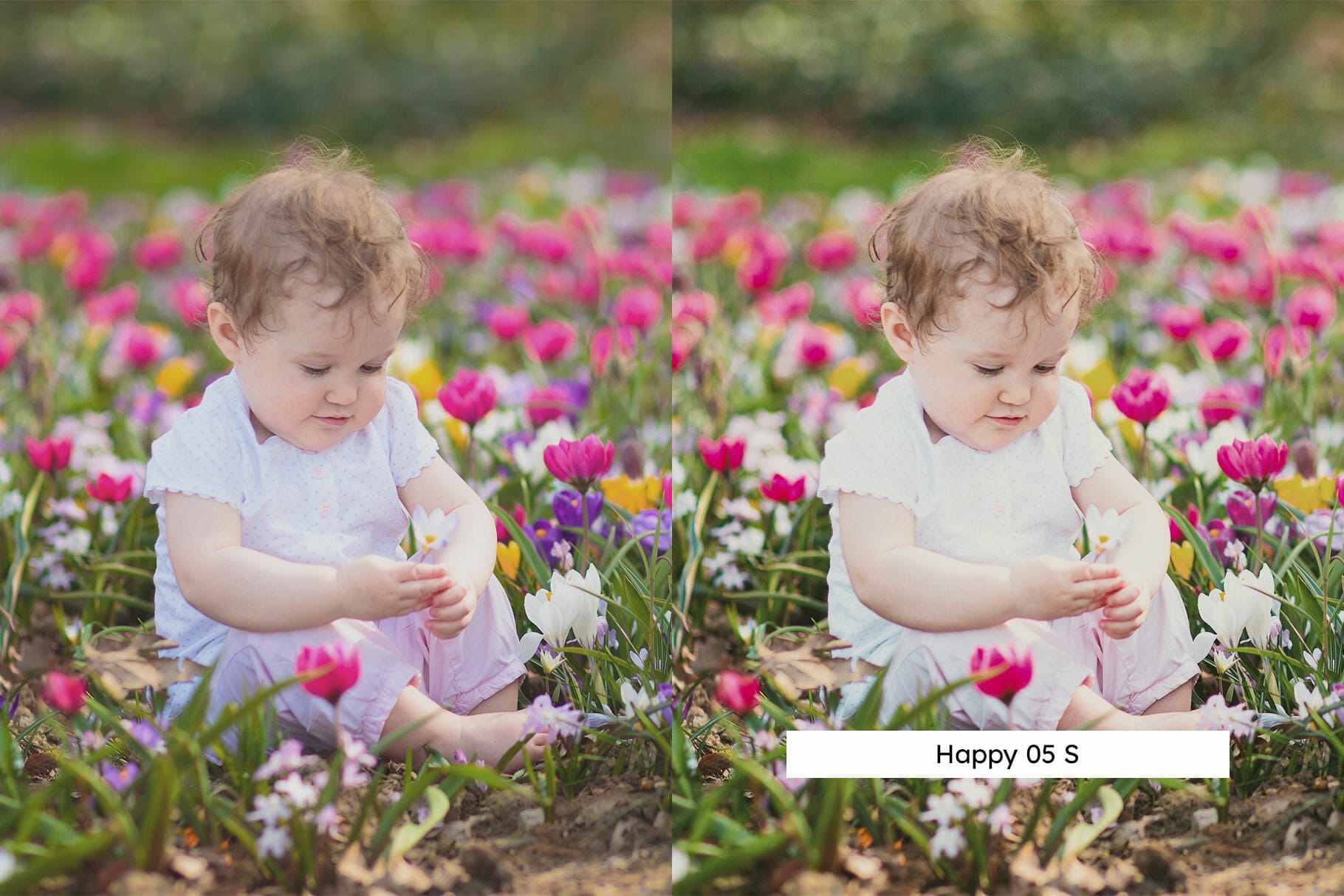 8 Free Spring Bright Lightroom Presets and LUTs - Photoshop Tutorials
