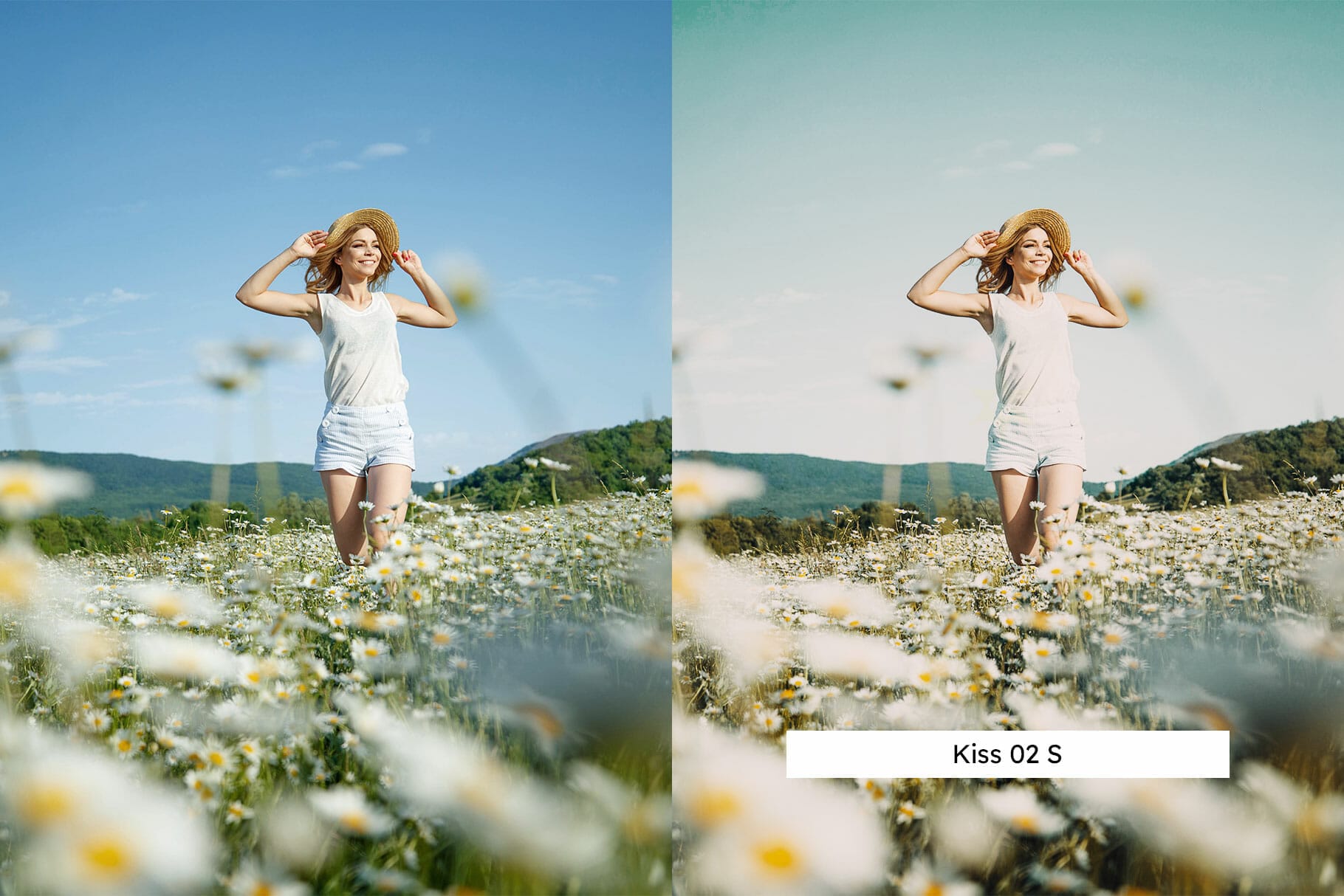 8 Free Spring Bright Lightroom Presets and LUTs - Photoshop Tutorials