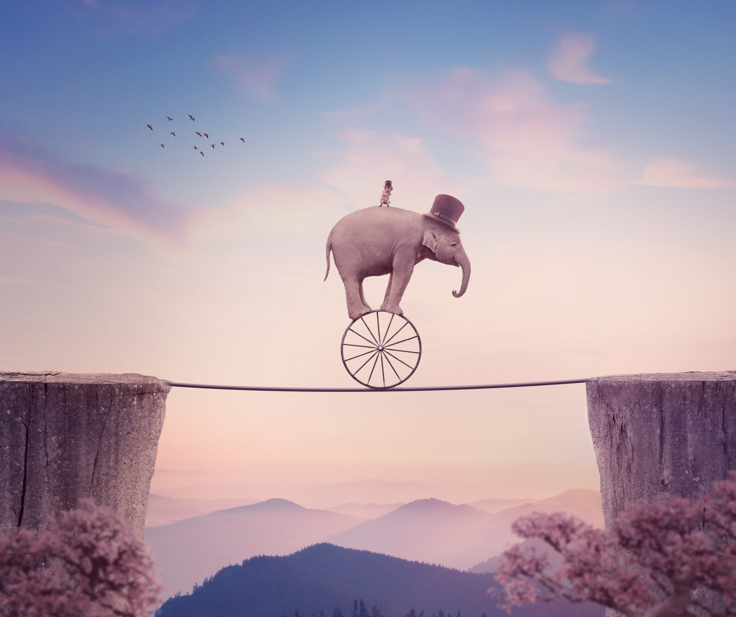 How to Create a Surreal Elephant Photo Manipulation with Adobe ...