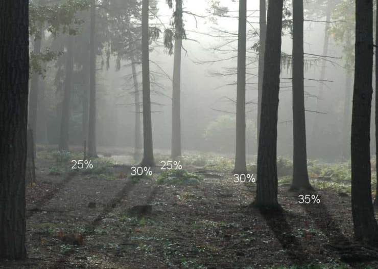 How to Create a Surreal Deer Photo Manipulation with Adobe Photoshop ...