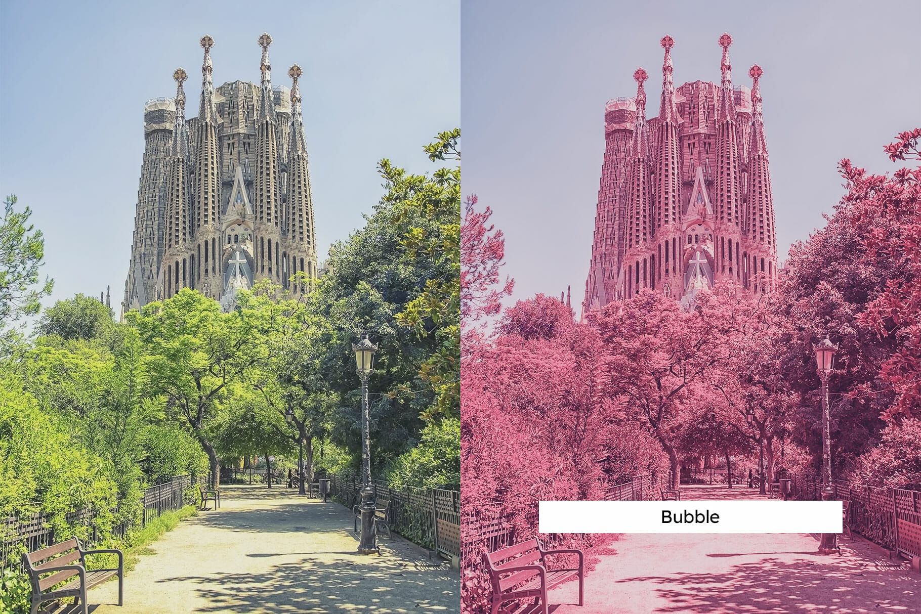 8 Free Pink Infrared Lightroom Presets and LUTs - Photoshop Tutorials
