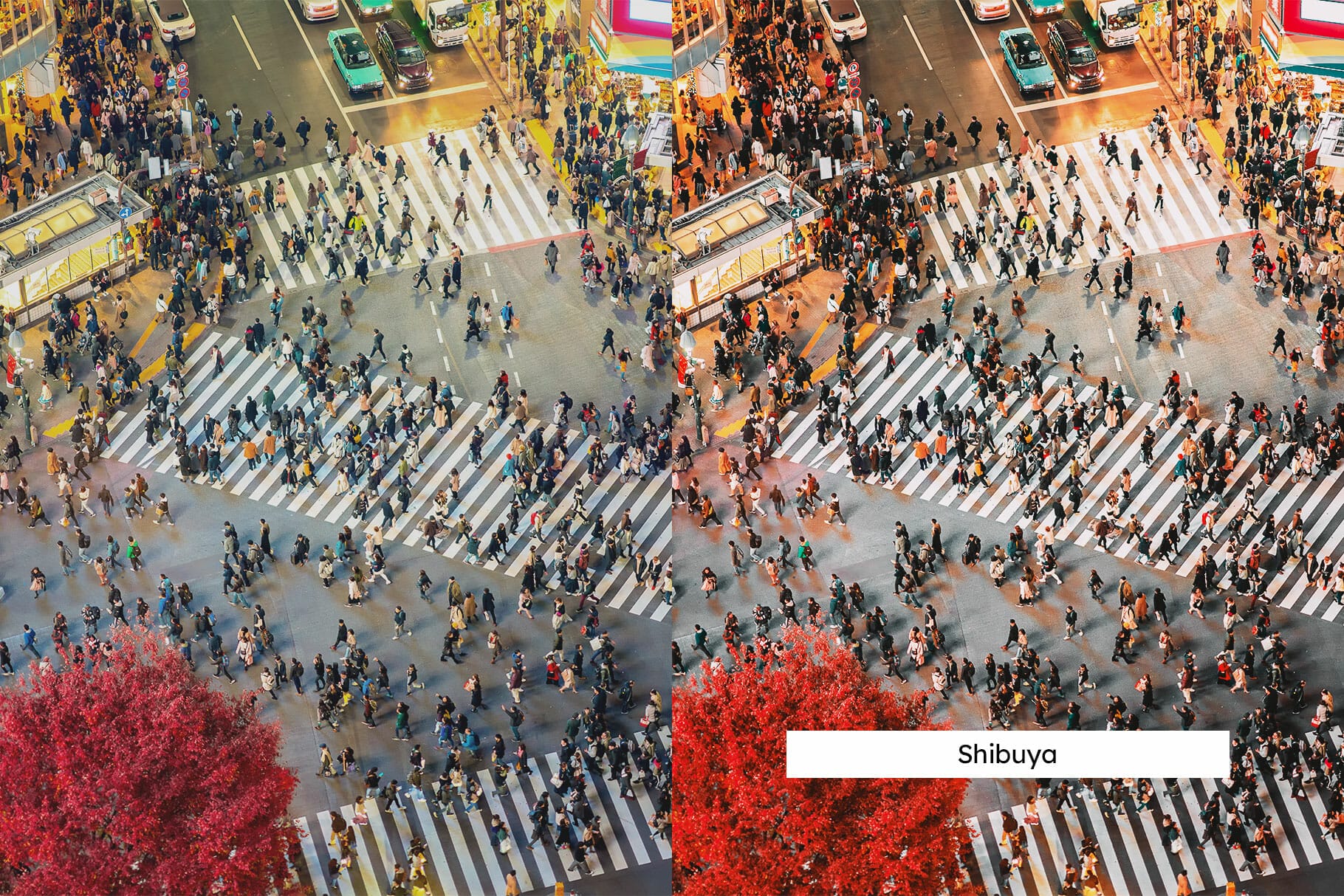 8 Free Tokyo Lightroom Presets and LUTs | Photoshop Tutorials