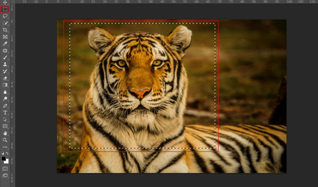 Floral Tiger Photo Manipulation Tutorial - Photoshop Tutorials