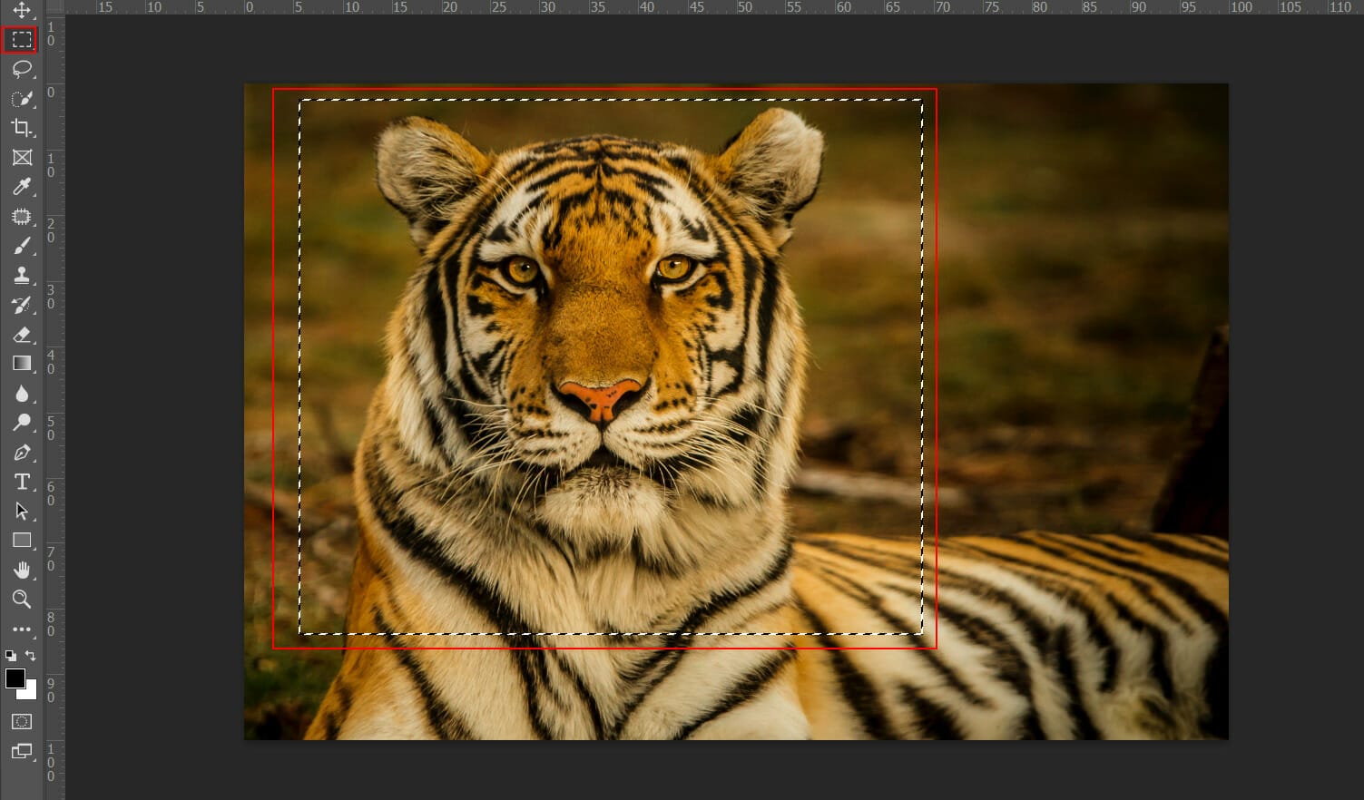 Floral Tiger Photo Manipulation Tutorial - Photoshop Tutorials