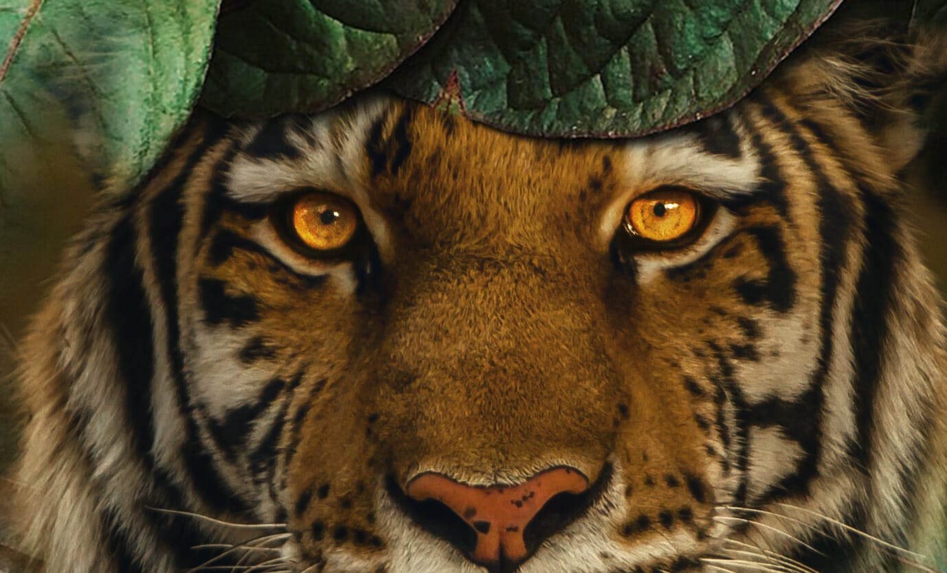 Floral Tiger Photo Manipulation Tutorial - Photoshop Tutorials