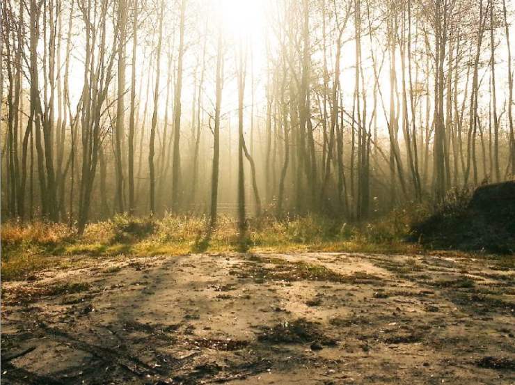 How to Create a Fantasy Lake Scene with Adobe Photoshop | Photoshop ...