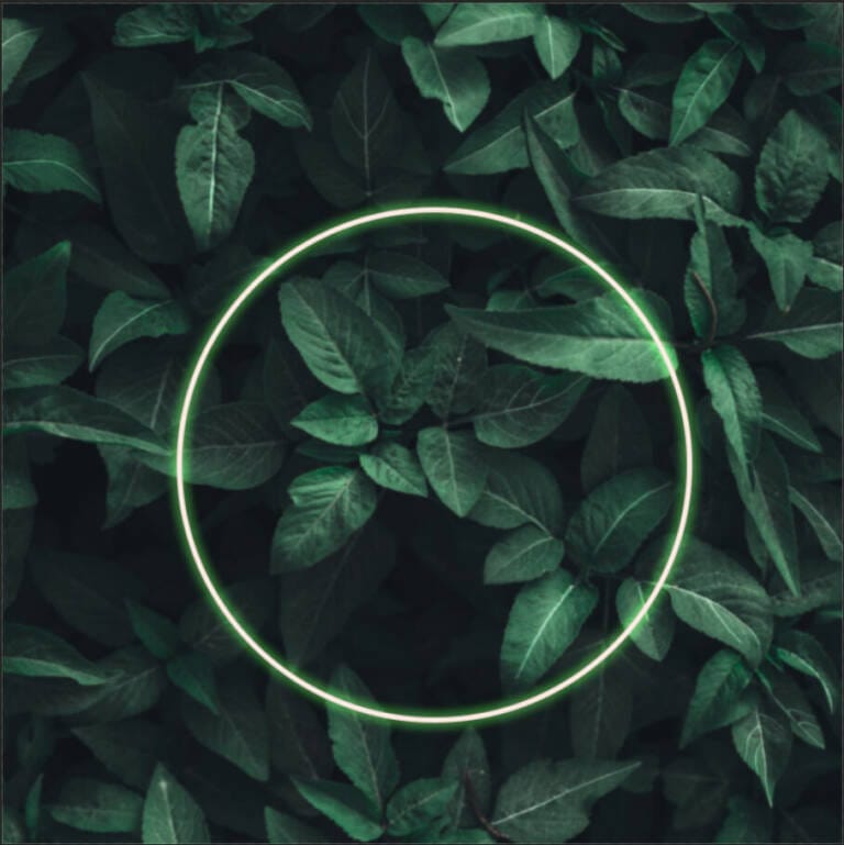 Create a Tiger Eclipse Portrait Photo Manipulation in Photoshop ...