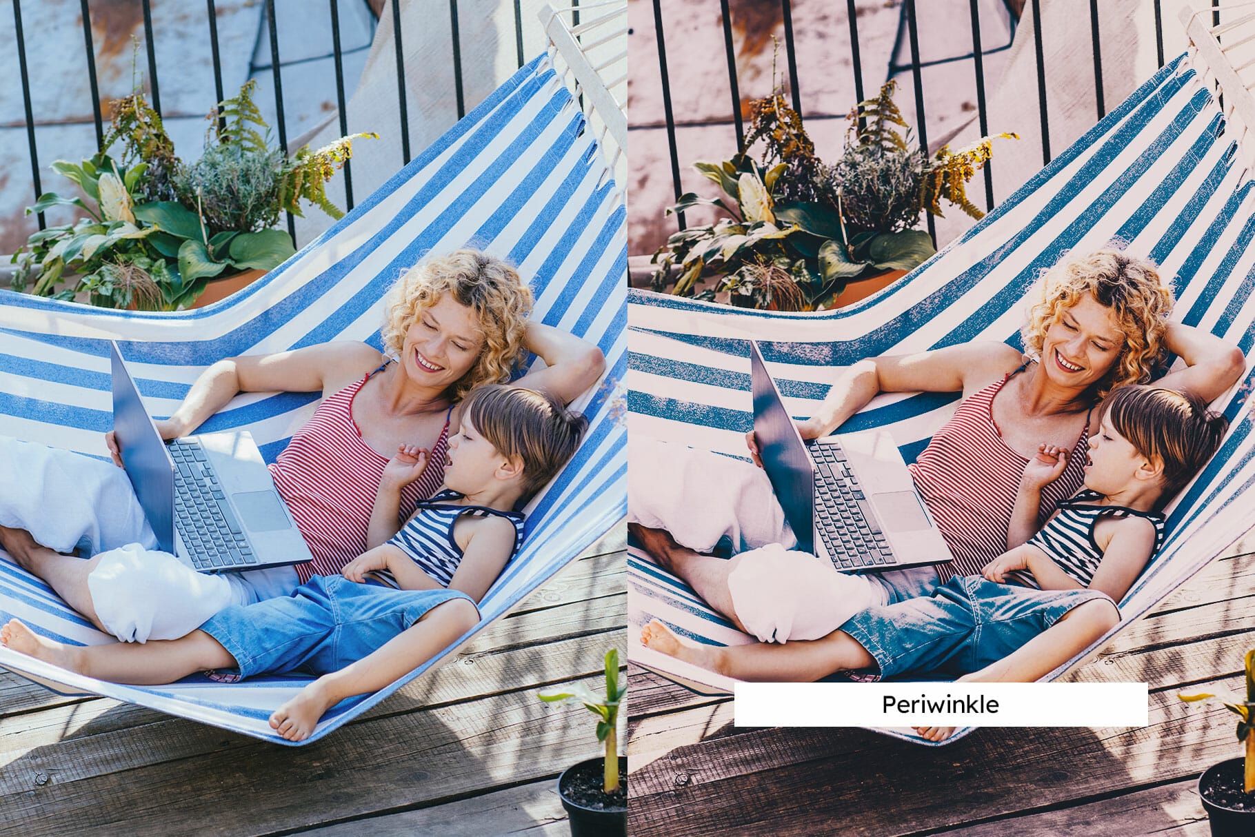 8 Free Vibrant Warmth Lightroom Presets and LUTs - Photoshop Tutorials