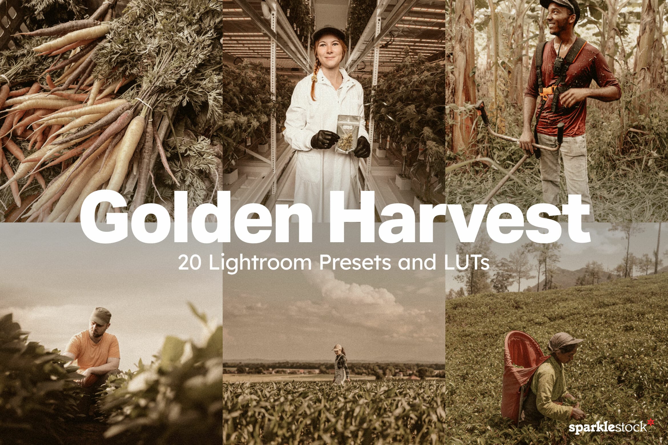 Lightroom Presets - Photoshop Tutorials